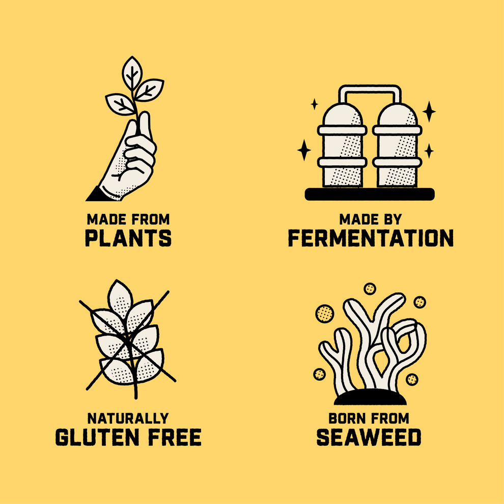 Honest Umami Mixed 4-Pack